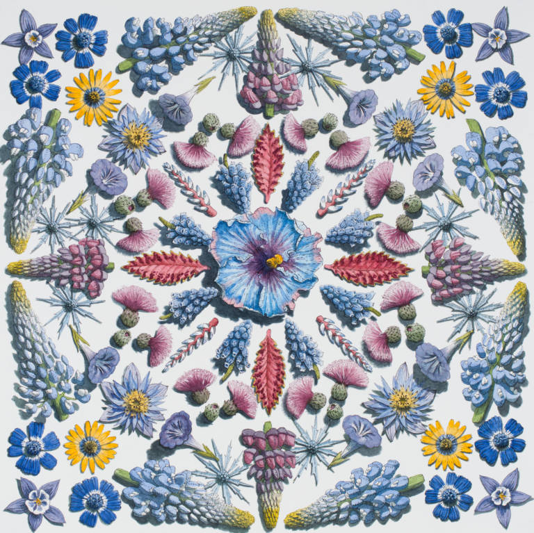 Mandala Series – David Cohen Art