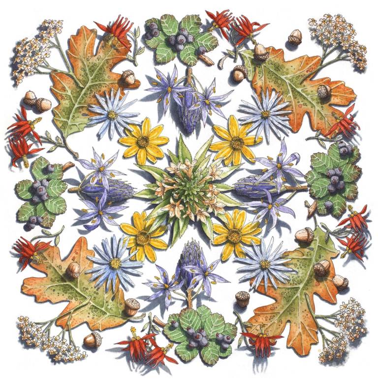 Mandala Series – David Cohen Art