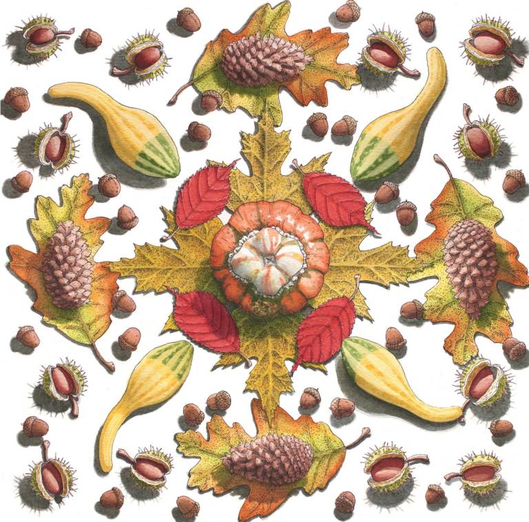 Mandala Series – David Cohen Art